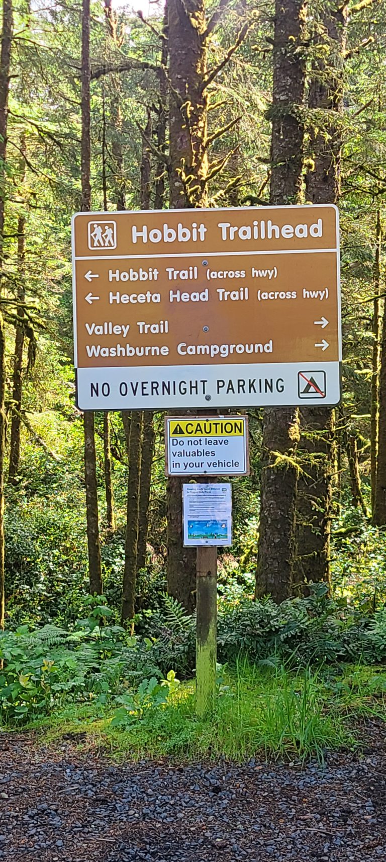 Hiking The Hobbit Trail, Devil’s Churn, Spouting Horn, and Thor’s Well ...