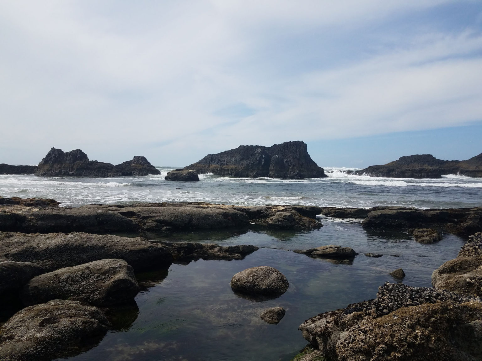 Best Tide Pools on the Oregon Coast - Seal Rock