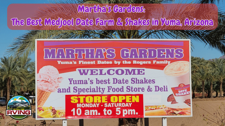 Martha’s Gardens: The Best Medjool Date Farm & Shakes in Yuma, Arizona