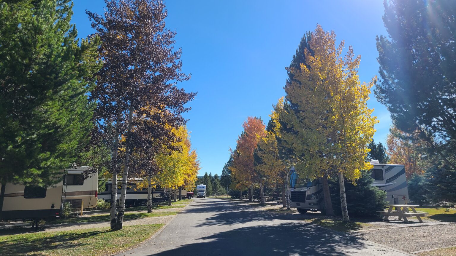 Yellowstone Grizzly RV Park and Cabins - West Yellowstone, Montana