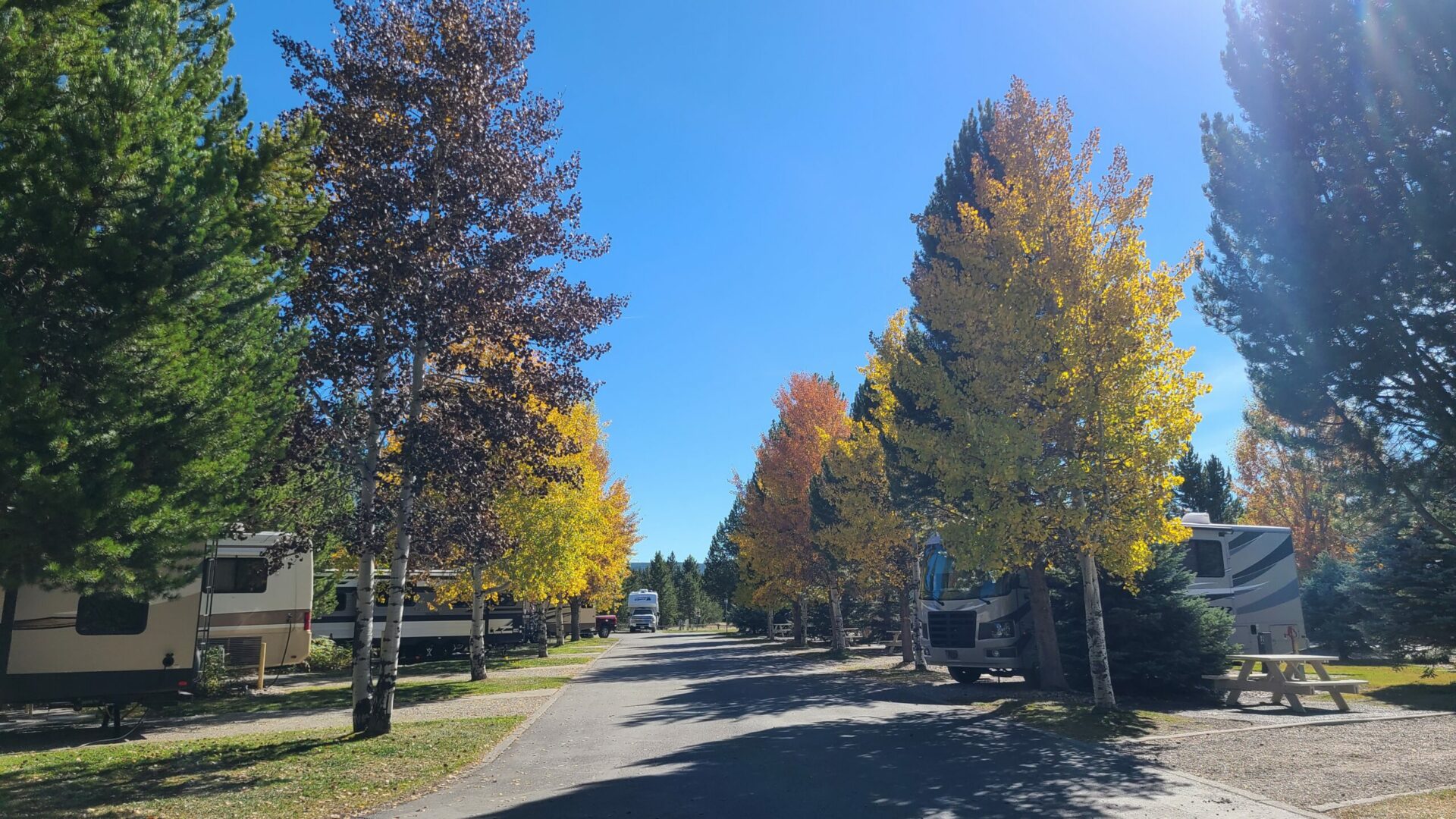 Yellowstone Grizzly RV Park and Cabins - West Yellowstone, Montana