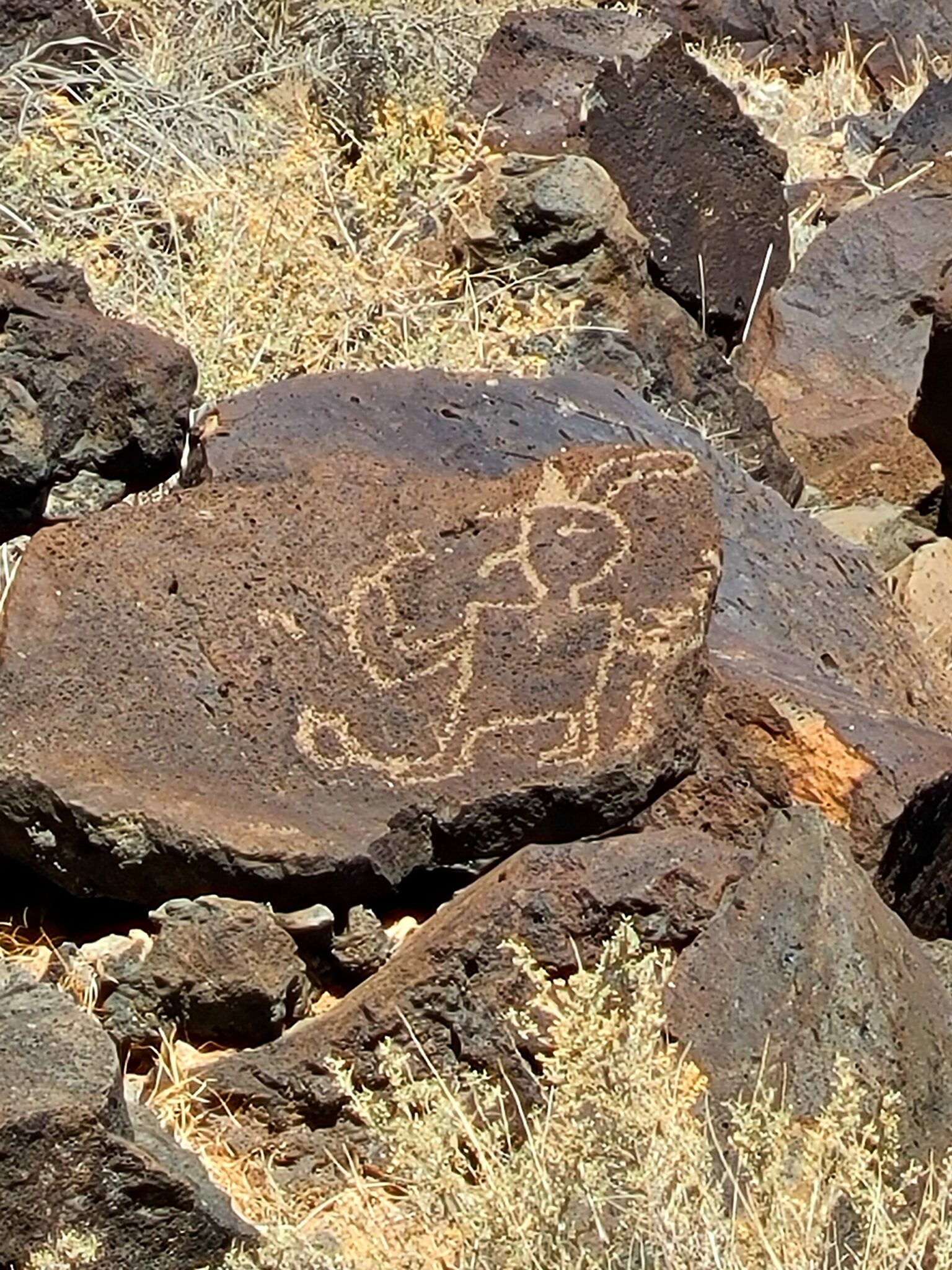 Hiking Petroglyph National Monument | Go Full-Time RVing