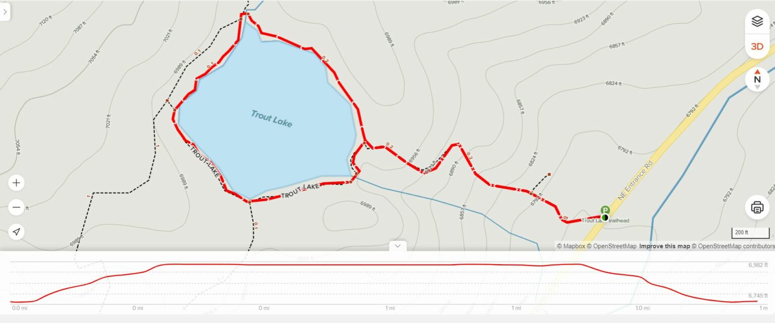 Hiking Yellowstone National Park - Trout Lake