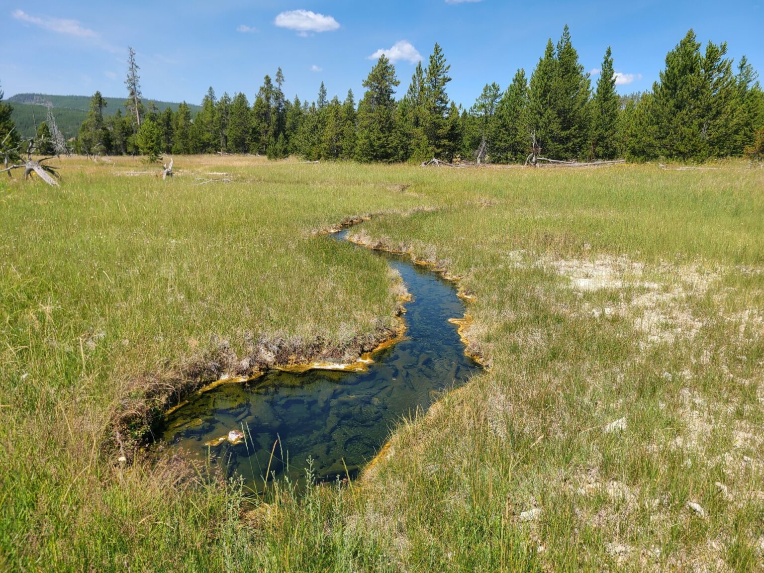 Hiking Yellowstone National Park Rabbit Highland Hot Springs