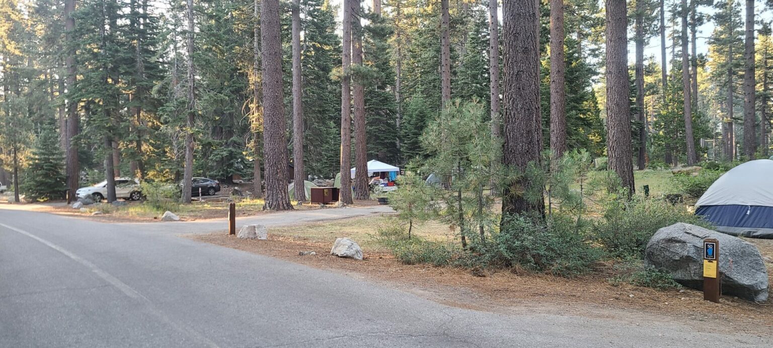 Fallen Leaf Campground Review - South Lake Tahoe