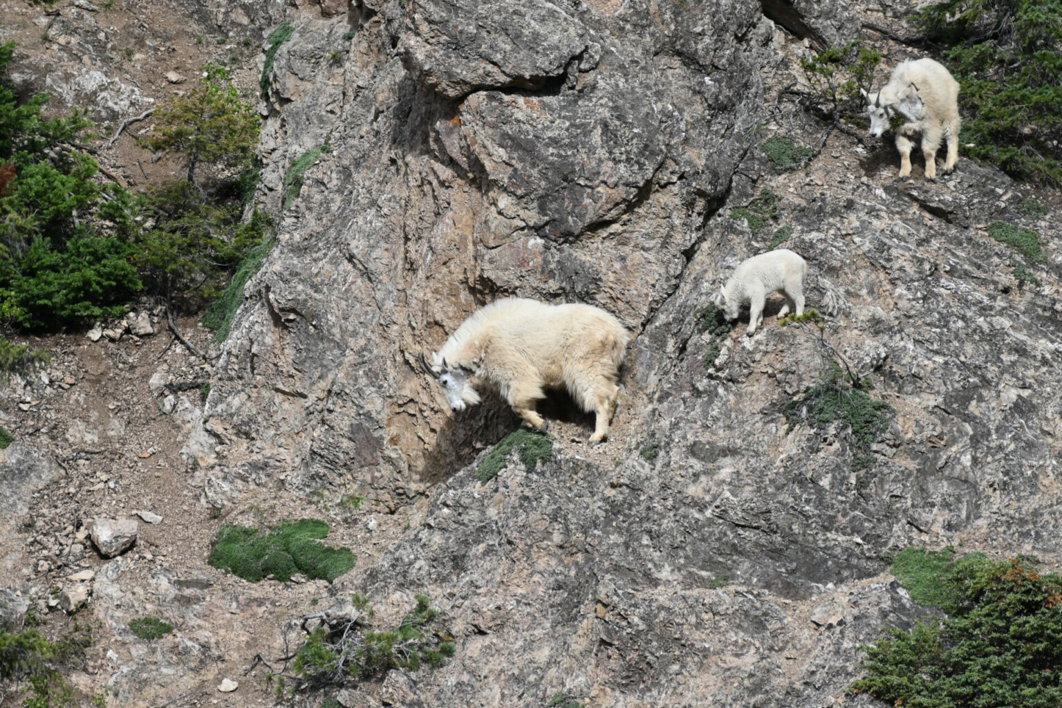 NovaGrade Digiscope Adapter Review | Go Full-Time RVing