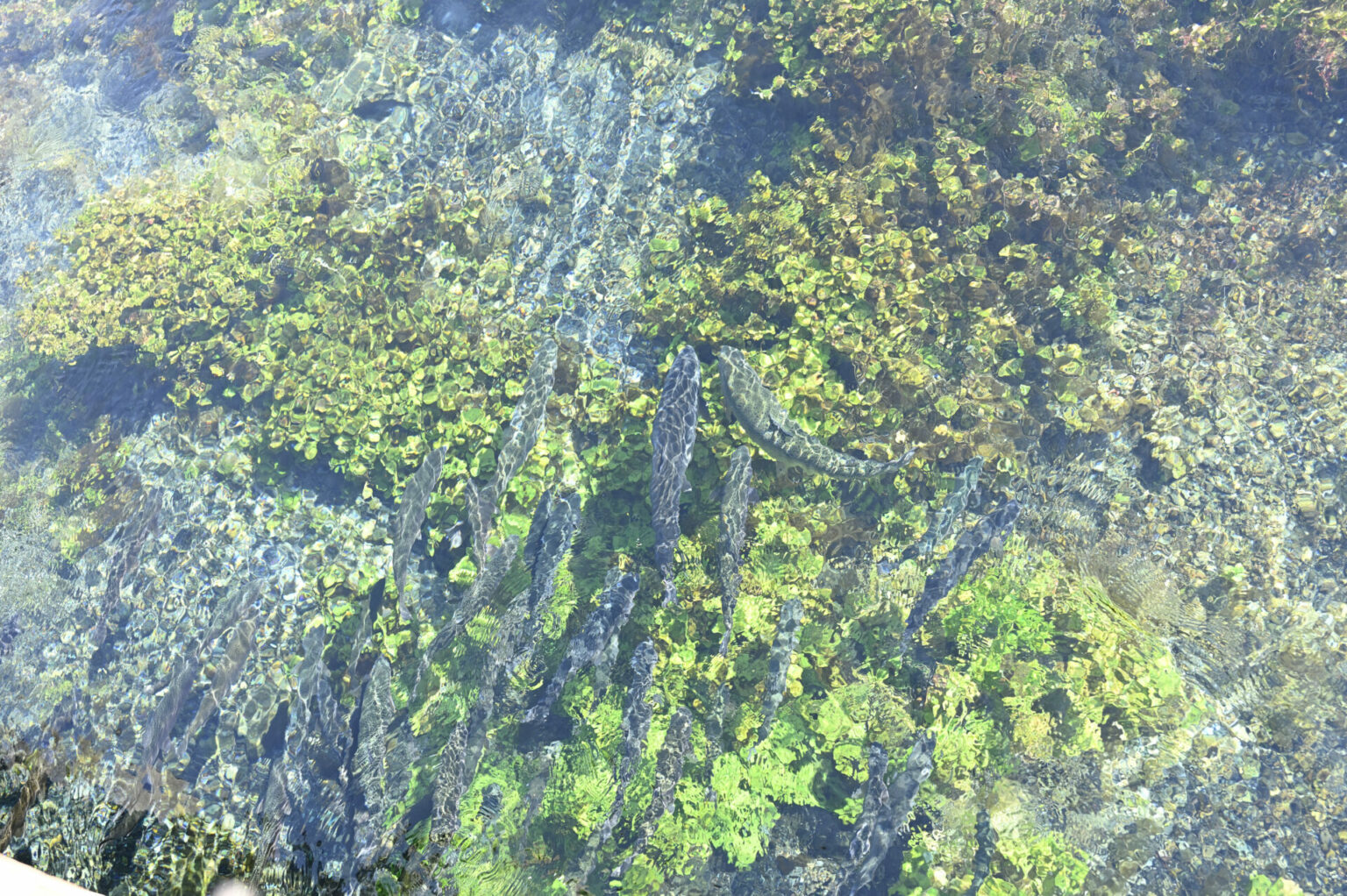 Visiting Johnny Sack’s Cabin | Go Full-Time RVing