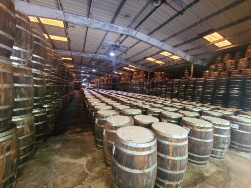Spicy Delights and Serene Landscapes: Avery Island’s Tabasco Factory ...