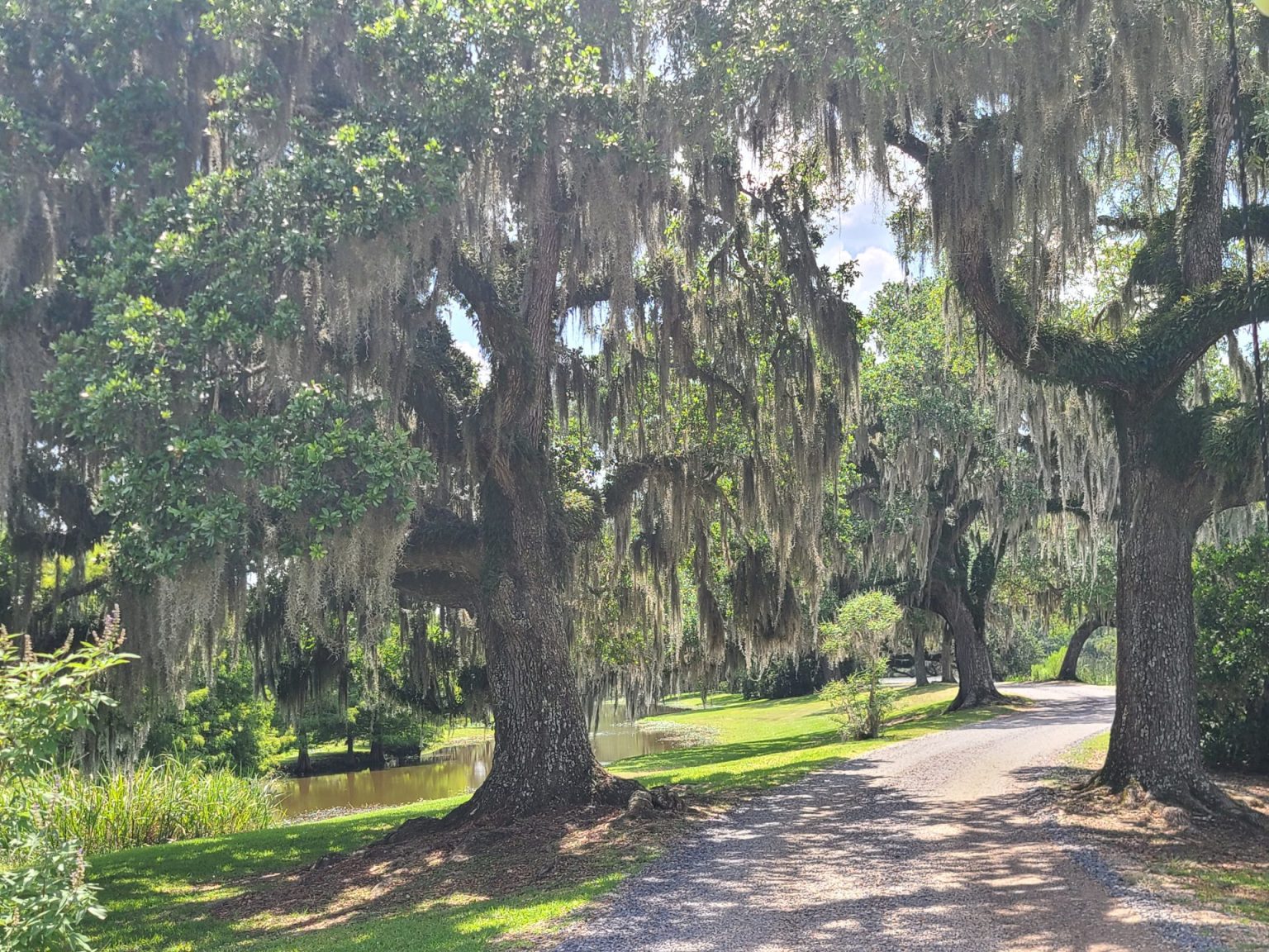 Spicy Delights and Serene Landscapes: Avery Island’s Tabasco Factory ...