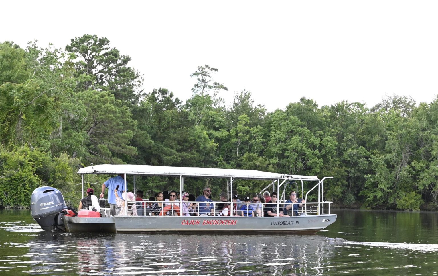 New Orleans Swamp Tour: An Intimate Encounter with Nature