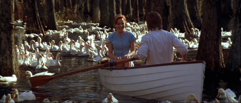 Drifting Through Time: The Cypress Gardens Boat Ride Experience